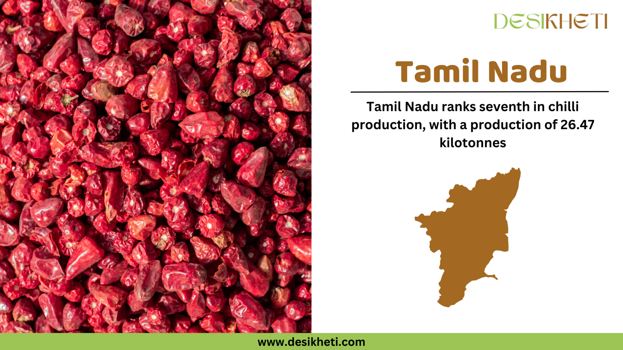 Top 10 Chilli Producing States in India in 2024