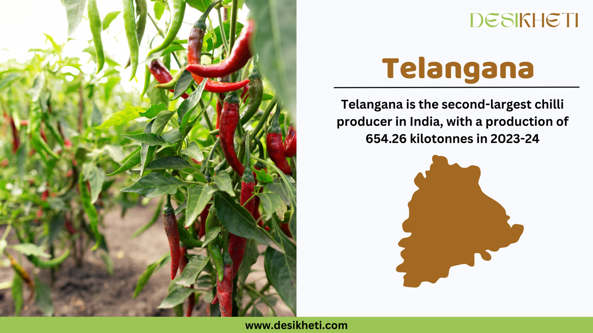 Top 10 Chilli Producing States in India in 2024