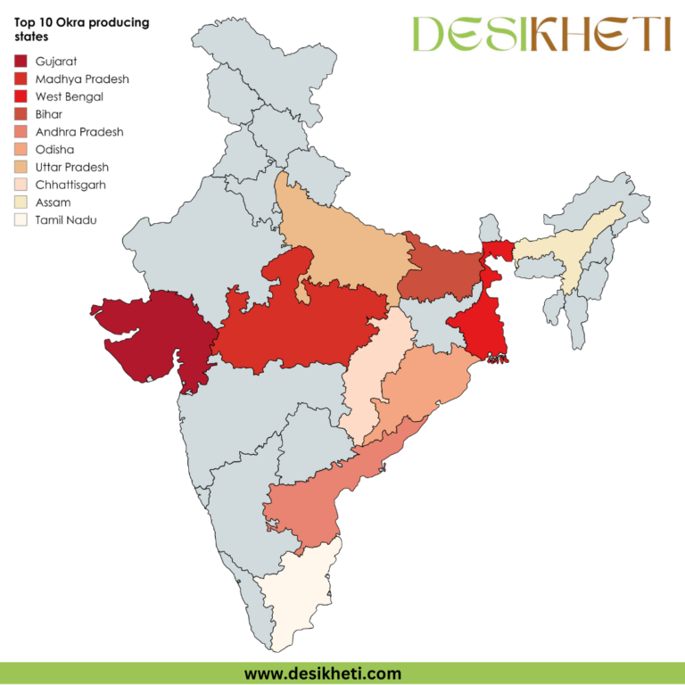 Top 10 Okra (Bhindi/Lady's Finger) Producing States in India