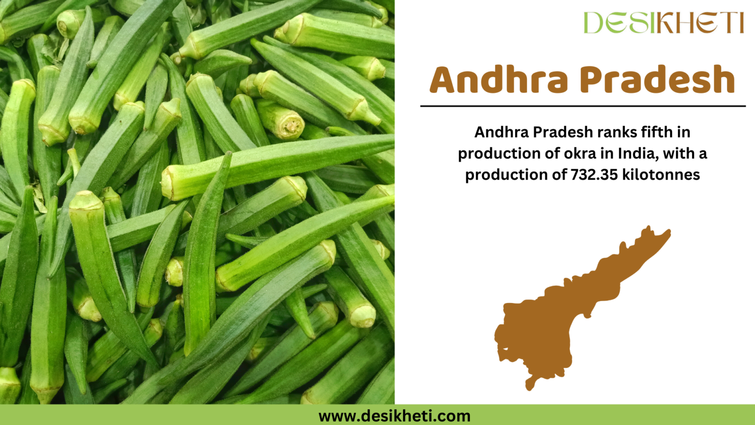 Top 10 Okra (Bhindi/Lady's Finger) Producing States in India