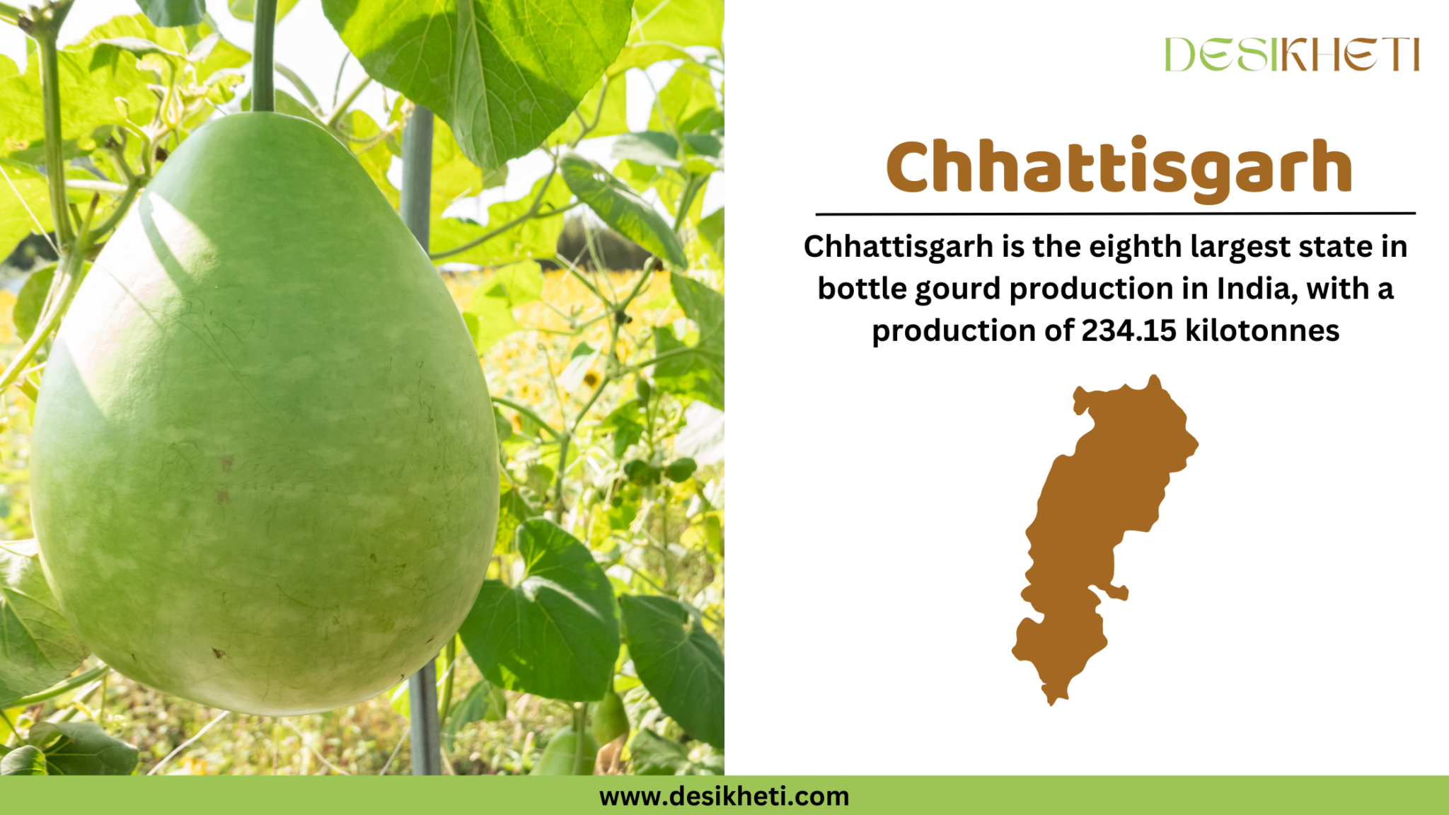 Top 10 Bottle Gourd (Lauki) Producing States in India