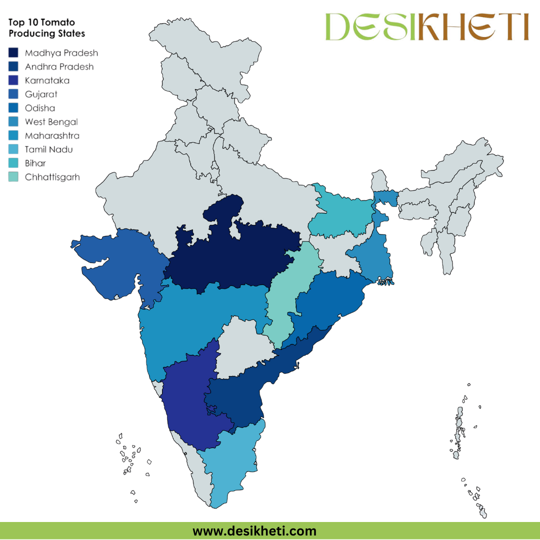 Top 10 Tomato Producing States in India - Statewise Overview