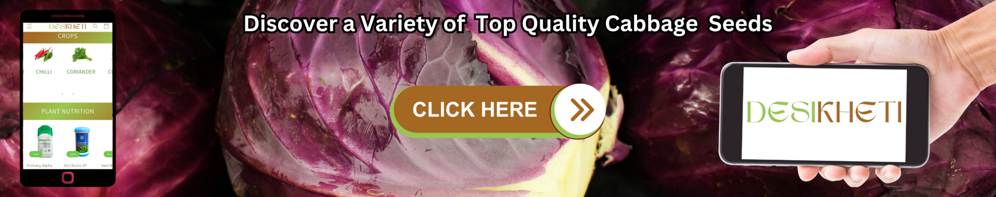 10 Types of Cabbage – Along with Clear Images - DesiKheti