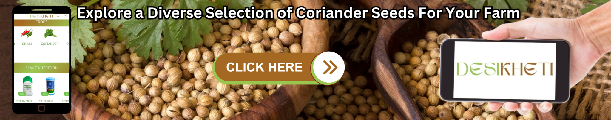 How to Grow Coriander from Seeds: 7 Simple Steps for High Germination Rate