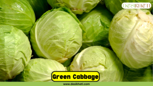 10 Types of Cabbage – Along with Clear Images - DesiKheti