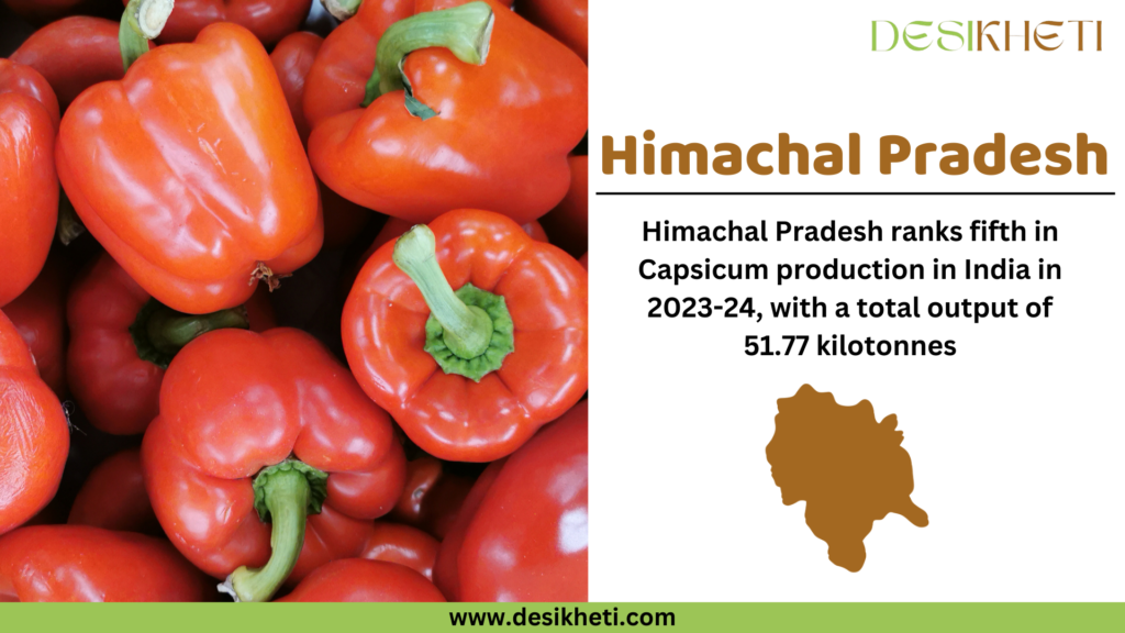 Top 10 Capsicum Producing States in India - DesiKheti