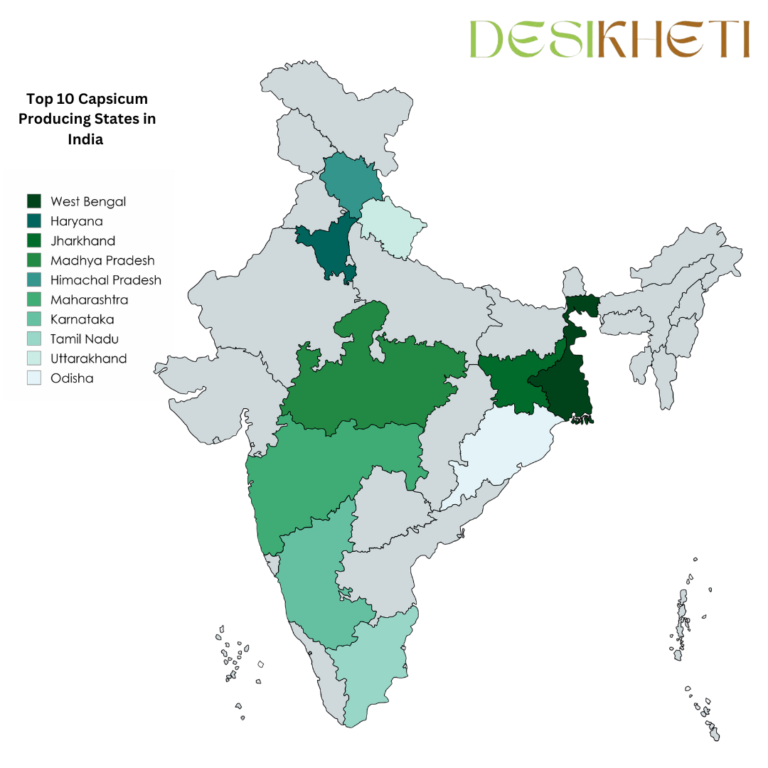 Top 10 Capsicum Producing States in India - DesiKheti