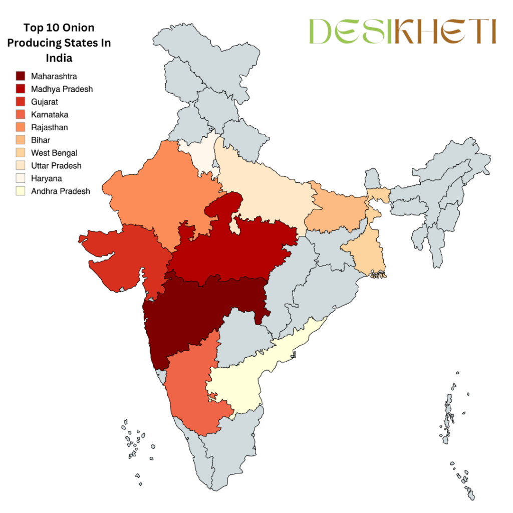 Top 10 Onion Producing States in India - DesiKheti