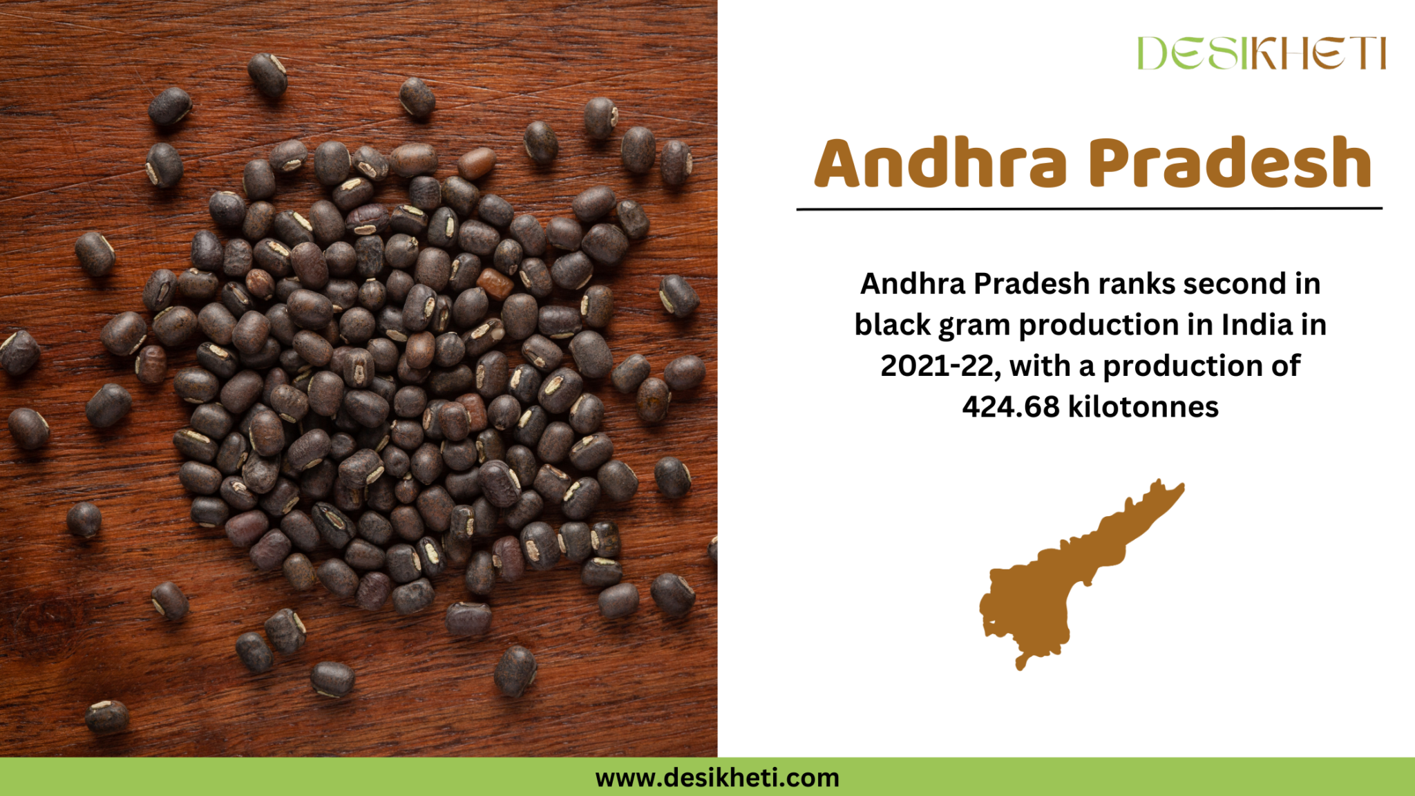 Top 10 Black Gram Producing States in India - DesiKheti