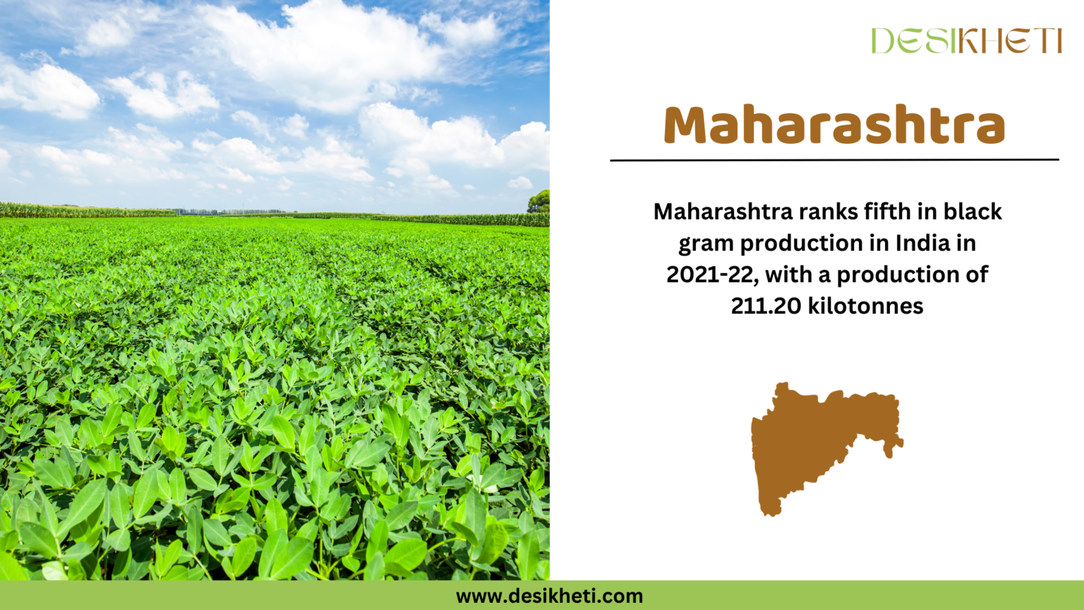 Top 10 Black Gram Producing States in India - DesiKheti