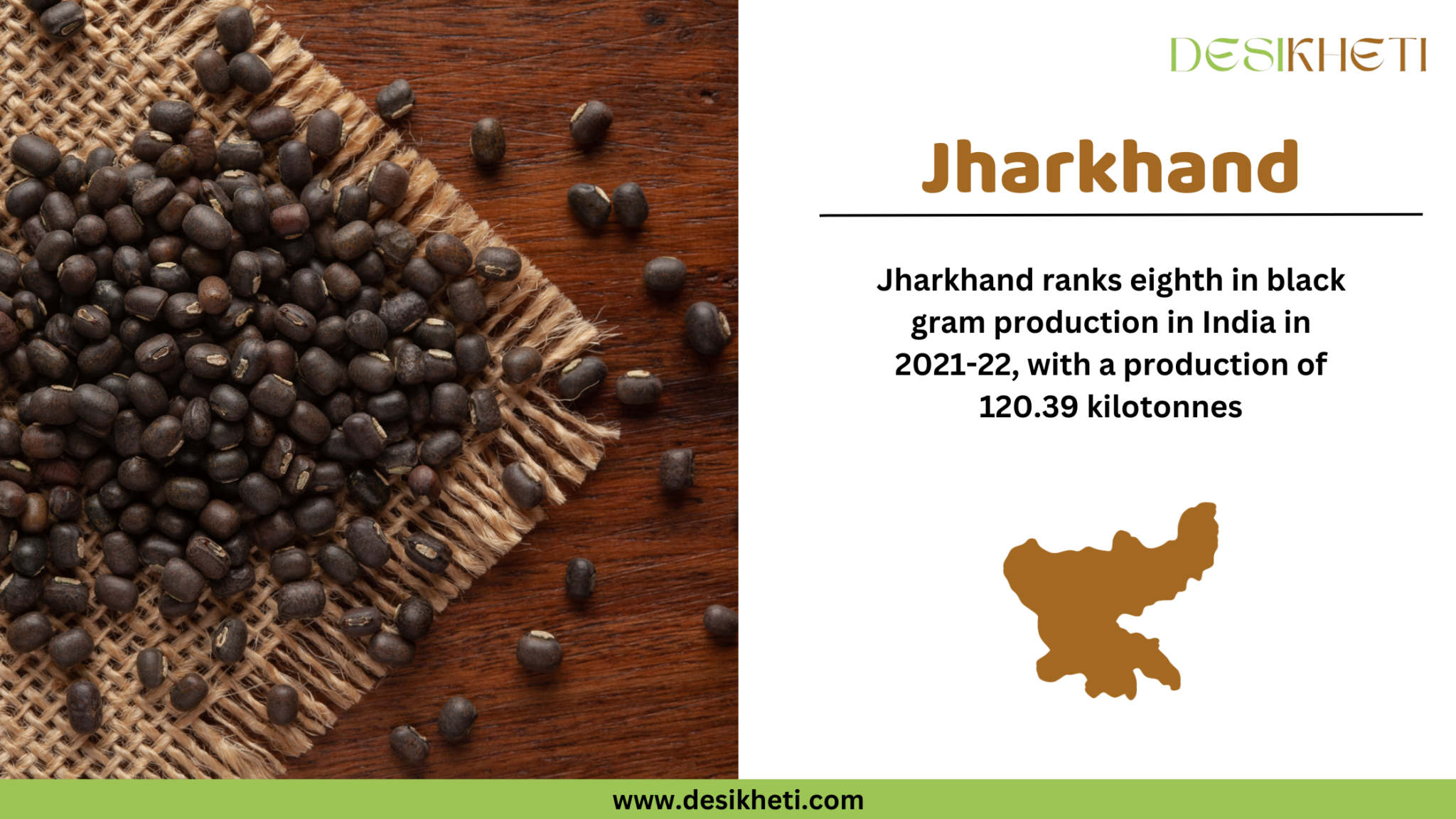 Top 10 Black Gram Producing States in India - DesiKheti