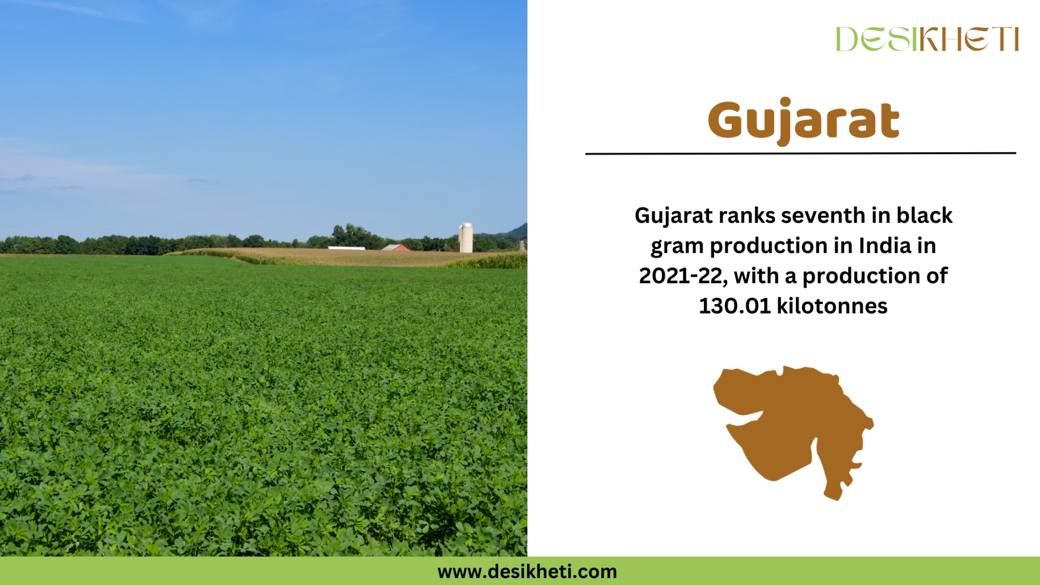 Top 10 Black Gram Producing States in India - DesiKheti