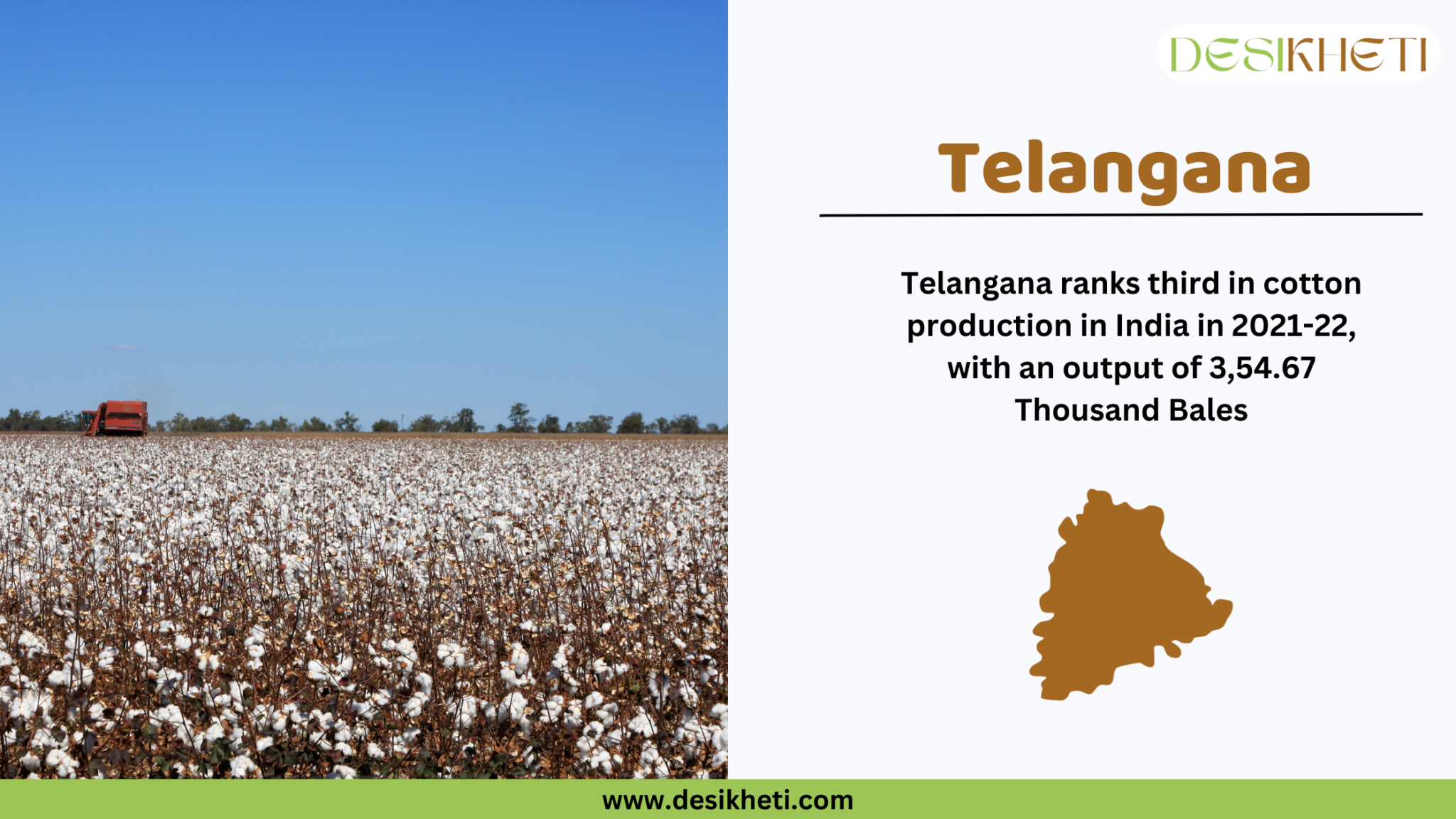 Top 10 Cotton Producing States in India - DesiKheti