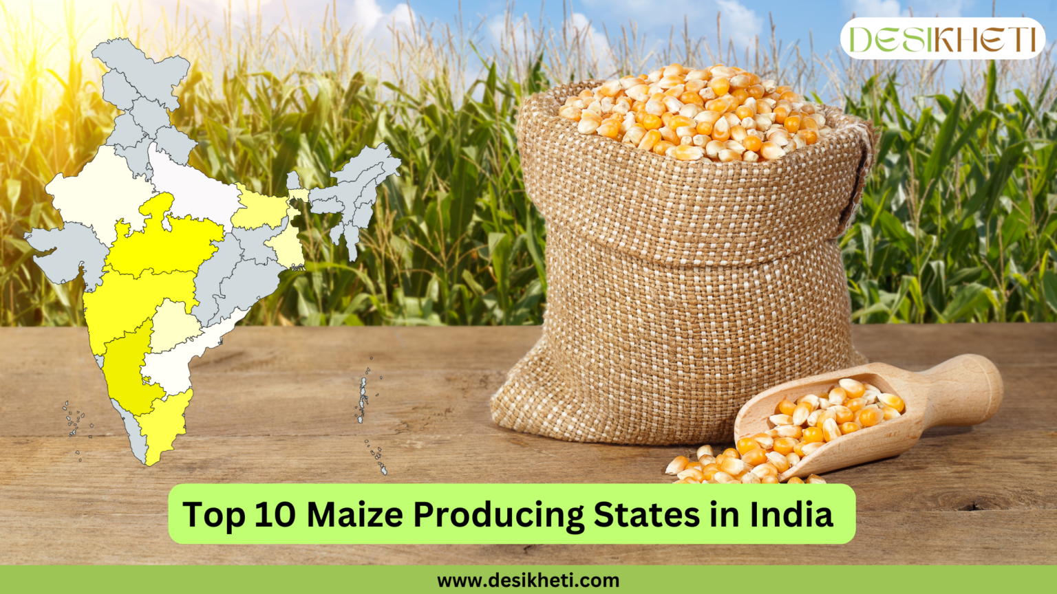 Top 10 Maize Producing States in India - DesiKheti