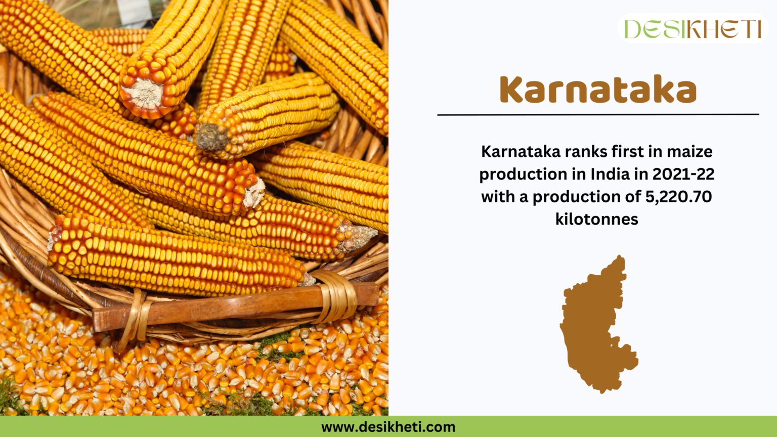 Top 10 Maize Producing States in India - DesiKheti
