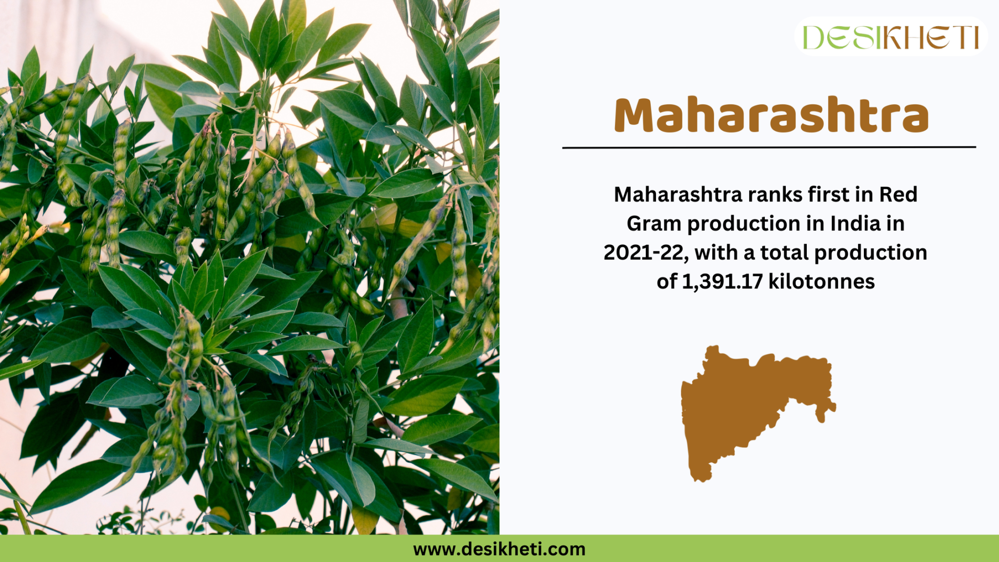 Top 10 Red Gram Producing States in India - DesiKheti