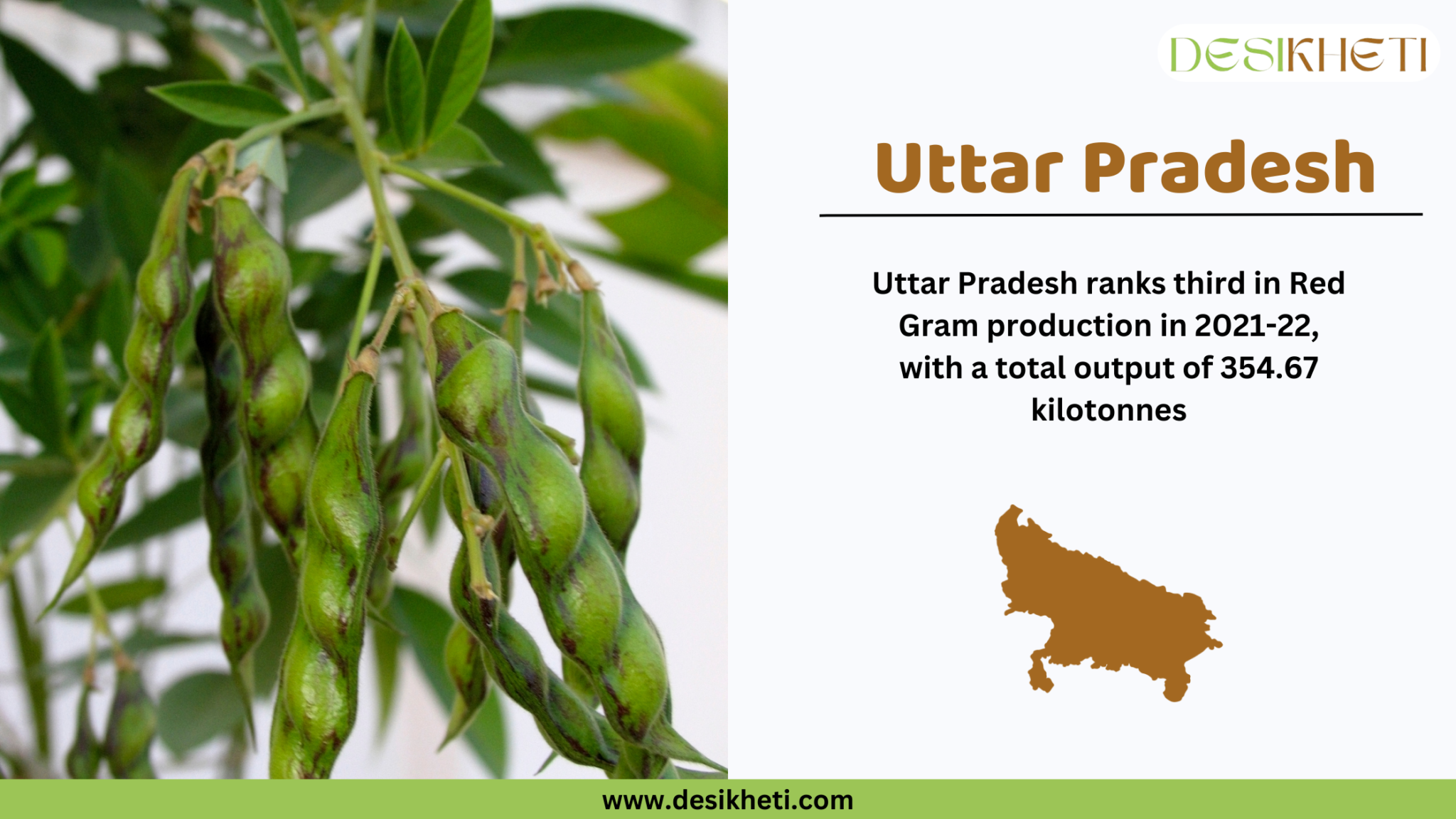 Top 10 Red Gram Producing States in India - DesiKheti