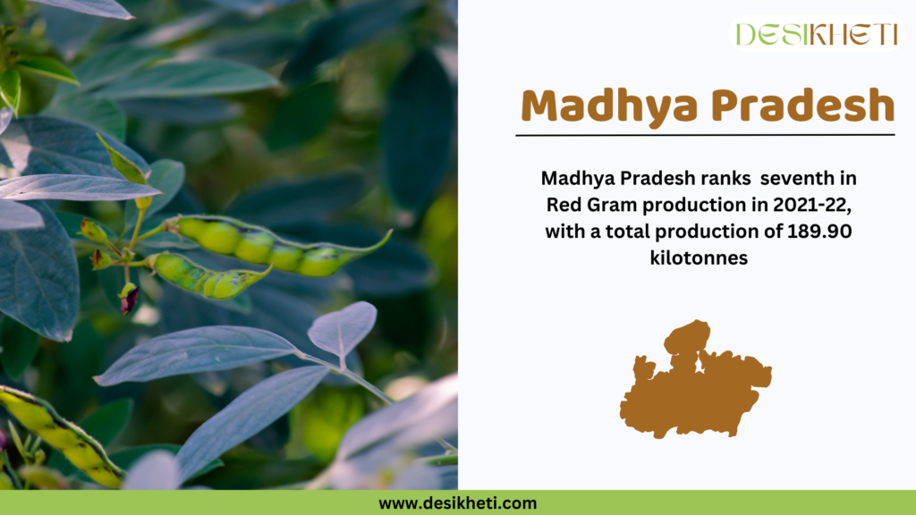 Top 10 Red Gram Producing States in India - DesiKheti