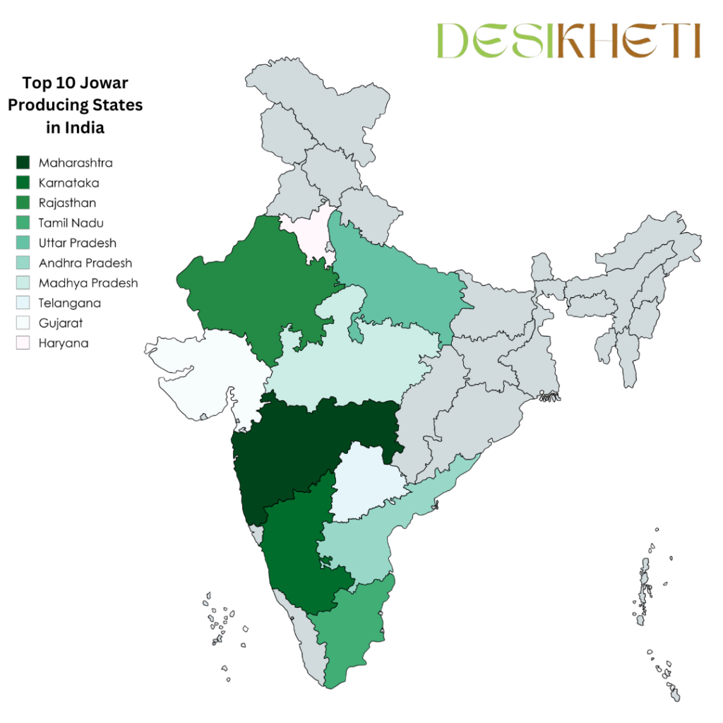 Top 10 Jowar-Producing States in India - DesiKheti