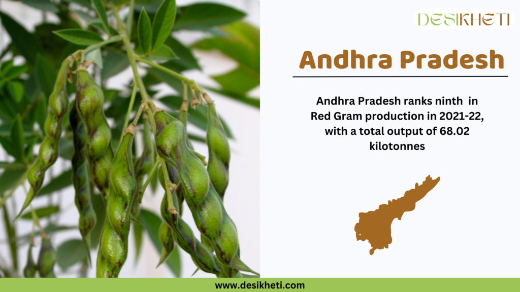 Top 10 Red Gram Producing States in India - DesiKheti