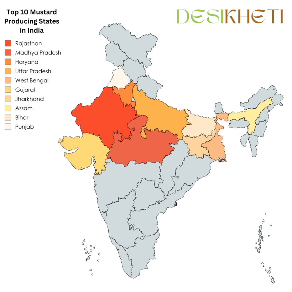Top 10 Mustard & Rapeseed Producing States in India - DesiKheti