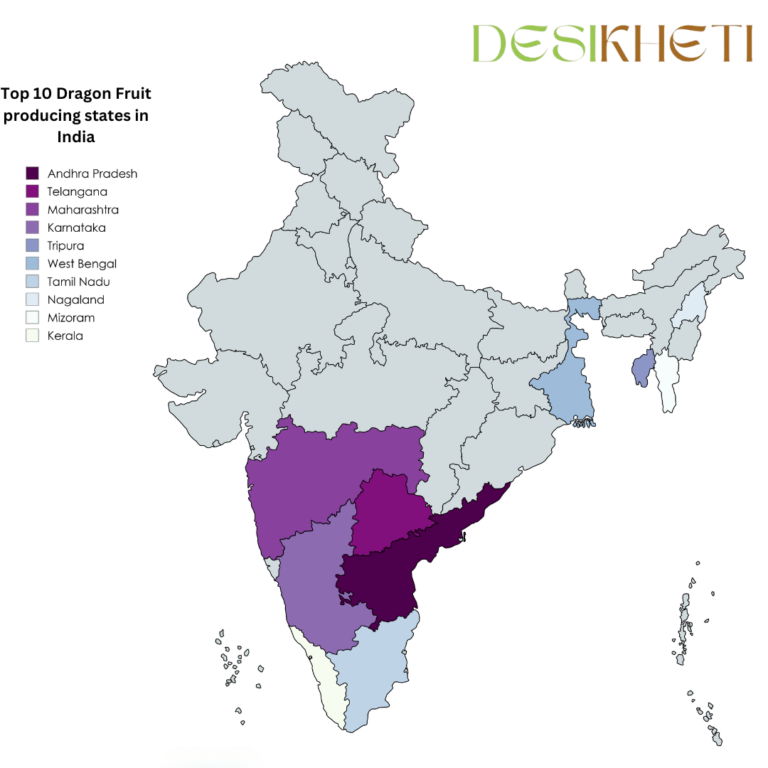 Top 10 Dragon Fruit Producing States in India - DesiKheti