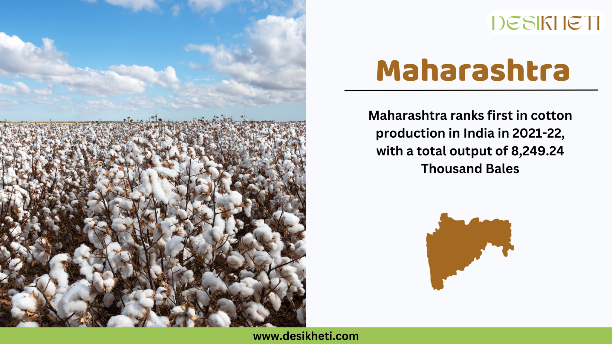 Top 10 Cotton Producing States in India - DesiKheti