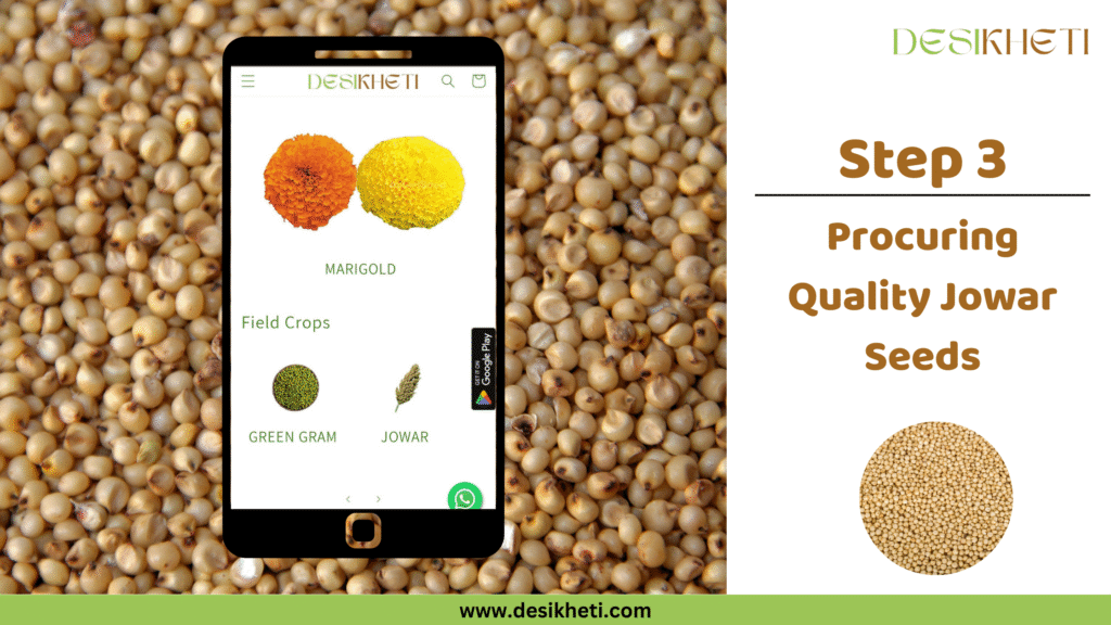 How to Sow Jowar Seeds: Learn Jowar Farming in 7 Simple Steps - DesiKheti