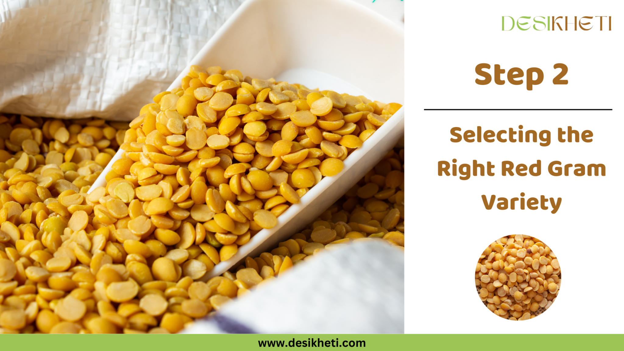 How to Sow Red Gram Seeds: Learn Red Gram Farming in 7 Simple Steps ...