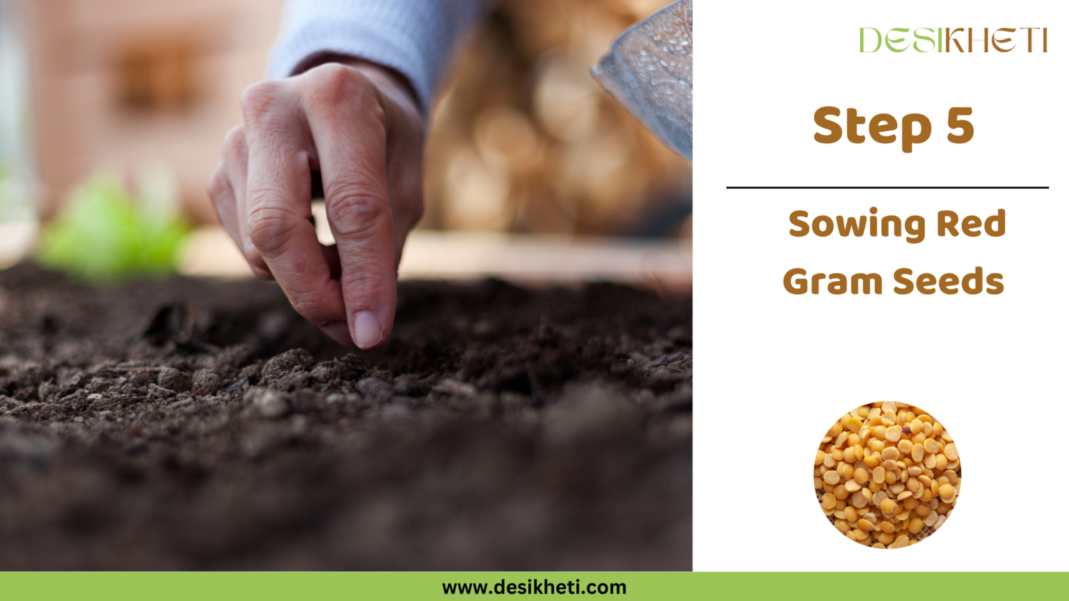 How to Sow Red Gram Seeds: Learn Red Gram Farming in 7 Simple Steps ...