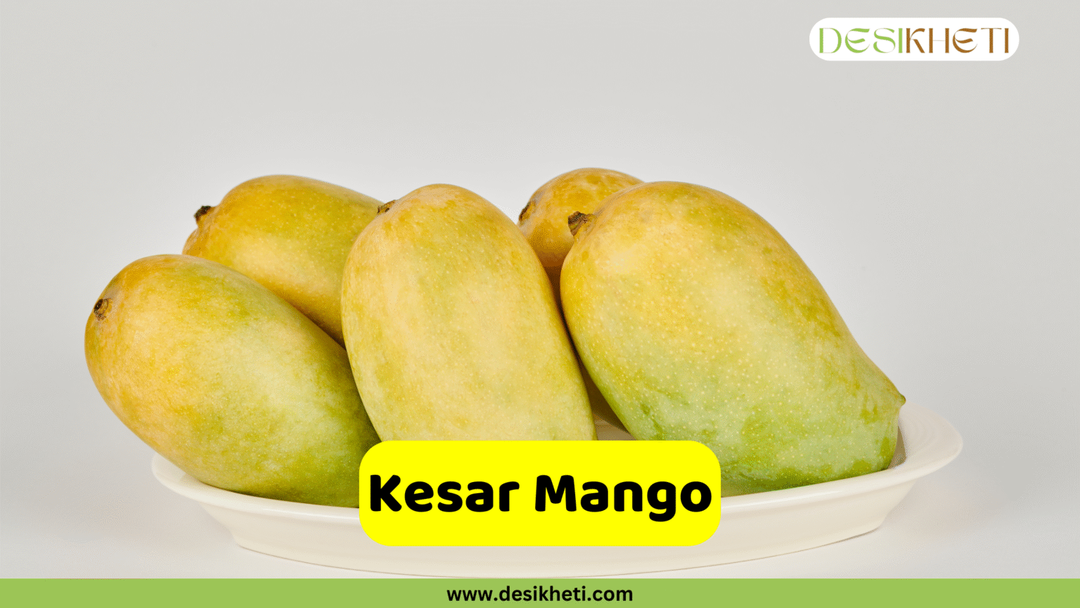 Top 10 Popular Mango Varieties in India - DesiKheti