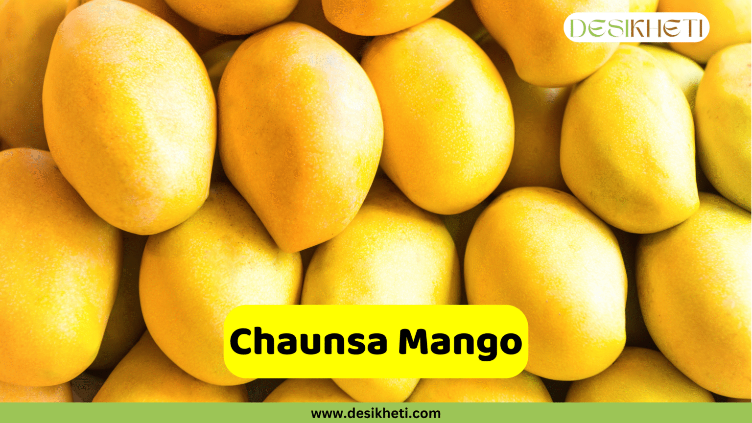 Top 10 Popular Mango Varieties in India - DesiKheti