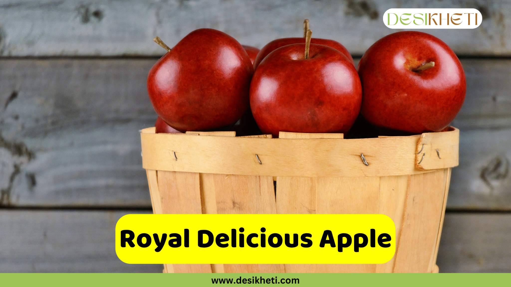 10 Popular Apple Varieties You Should Taste at Least Once in Your Lifetime - DesiKheti