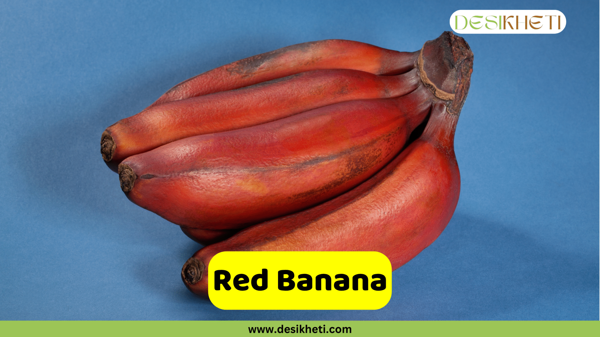 10 Popular Banana Varieties in India - DesiKheti
